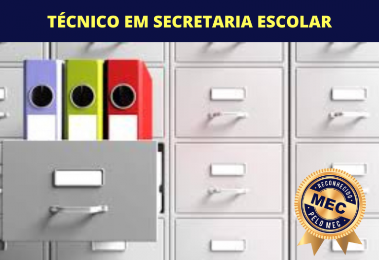 Técnico em Secretaria Escolar – IESFi Técnico em Secretaria Escolar – IESFi